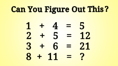 What You See First In This Optical Illusion Reveals If You’re Sensitive ...