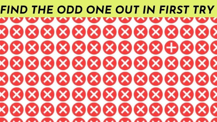 Give This Difficult Odd One Out Quiz A Try To Determine The Sharpness ...