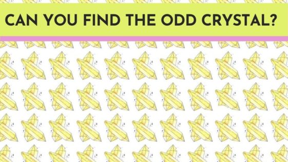 Observation-Brain-Test: Find The Odd Number Out. - MyDailyBrain