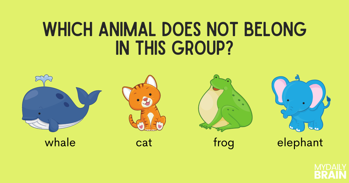 One Animal Doesn’t Belong In The Group! Can You Get The Answer In 10 ...